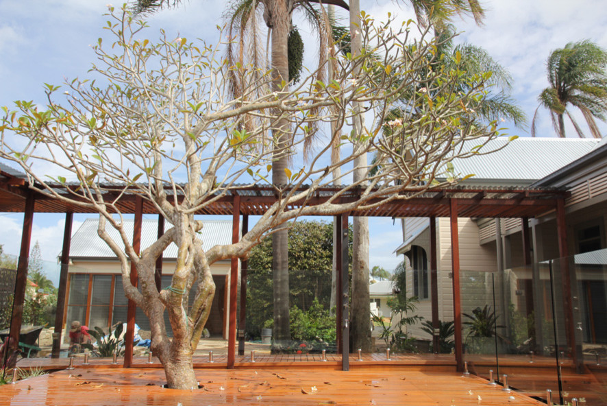 Brundah - Modern - Landscape - Sydney - by David Scobie Architects | Houzz