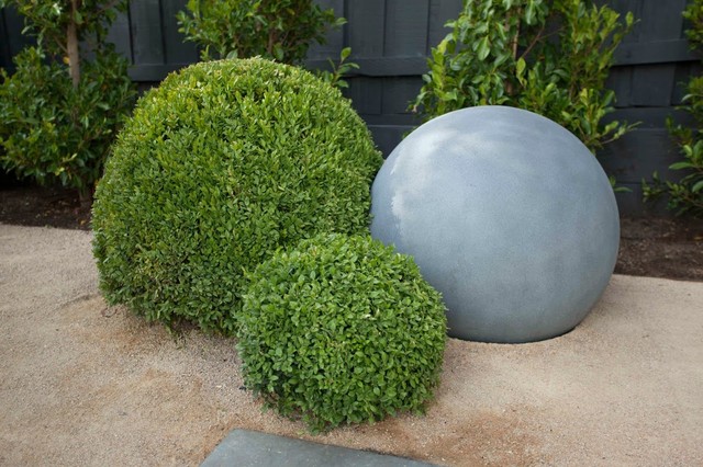 Buxus Balls - Traditional - Garden - Melbourne - by Anthony Scott Landscape Design | Houzz IE