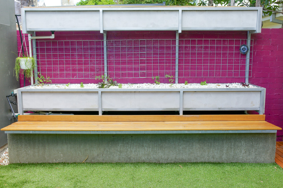 Camperdown House - Contemporary - Landscape - Sydney - by Henarise Pty ...