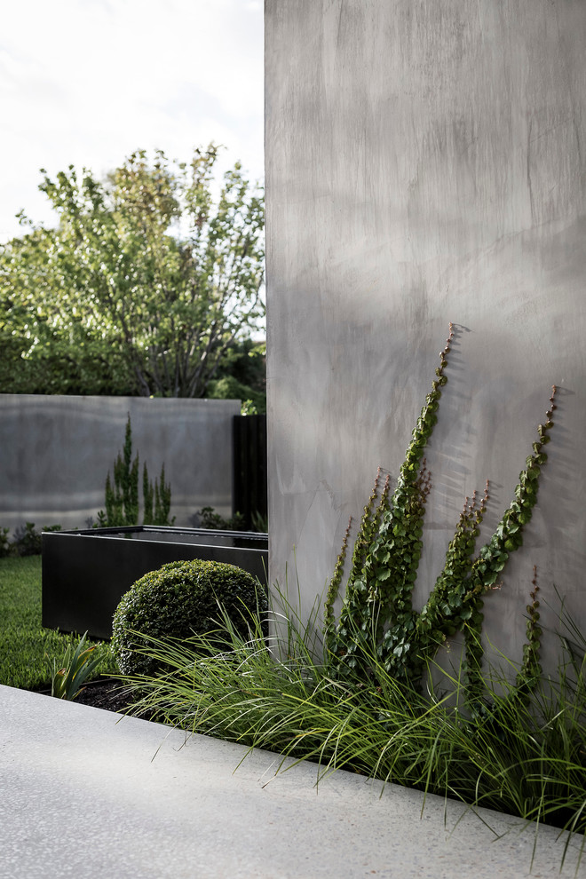 Cawkwell Street - Contemporary - Landscape - Other - by Acre | Houzz