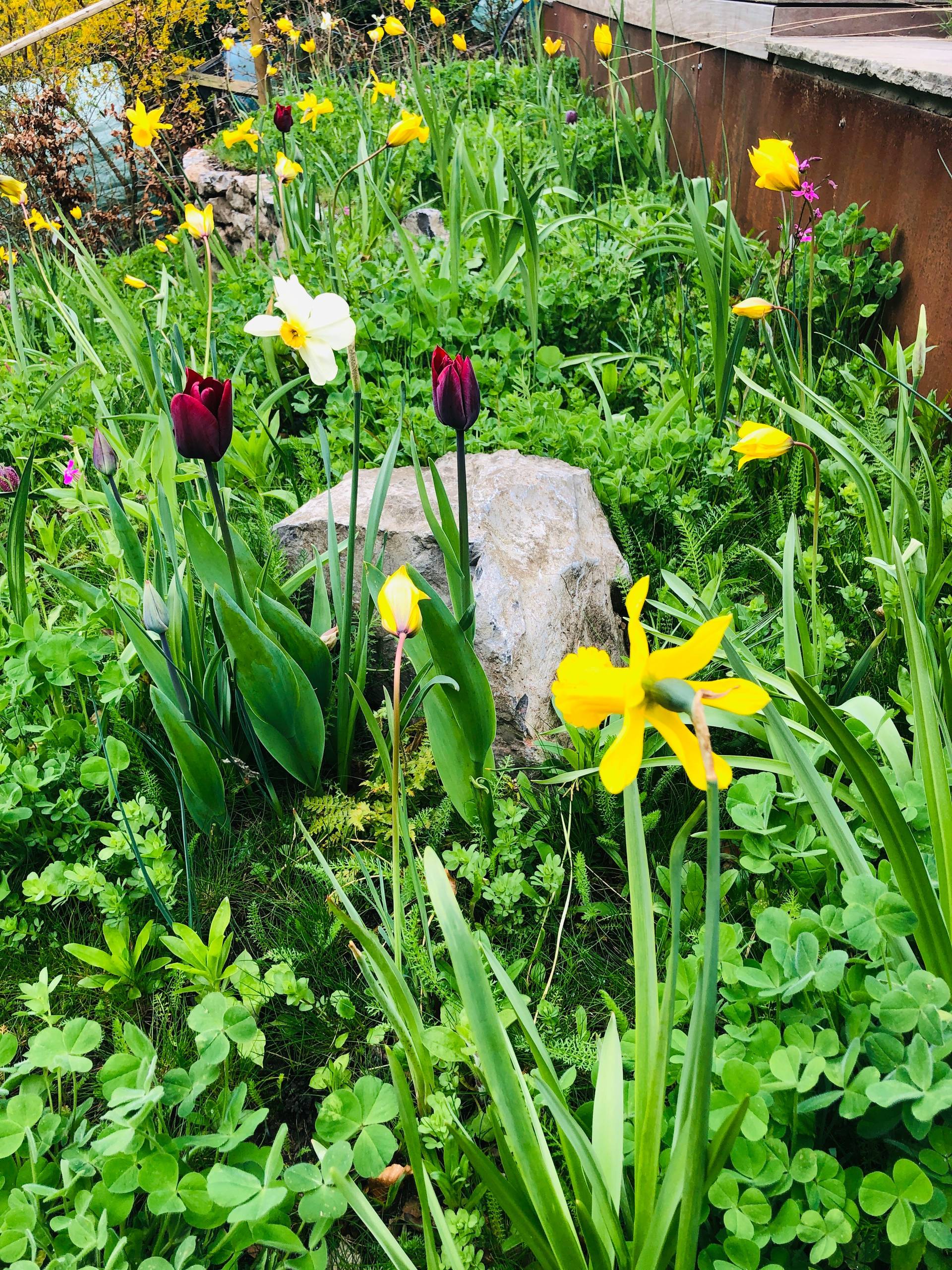 Garden Tour: A Cleverly Designed Sloping Garden in Cheddar Gorge | Houzz UK