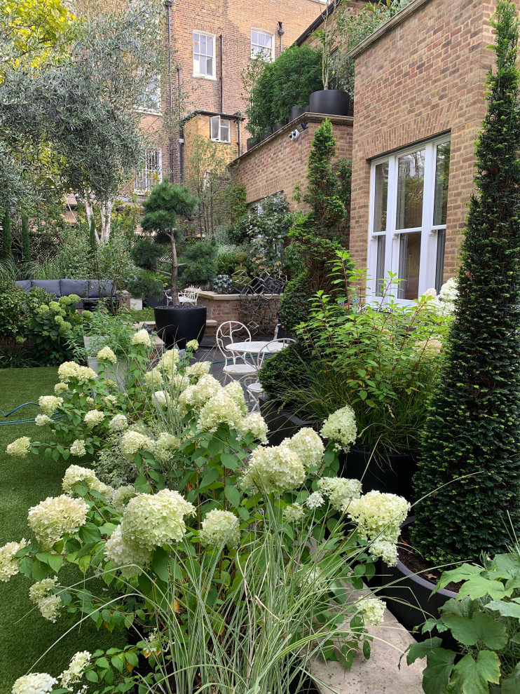 Chelsea Town House - Contemporary - Landscape - London - by The London ...