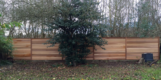 Cladding transforms fencing into a garden feature - Contemporary ...