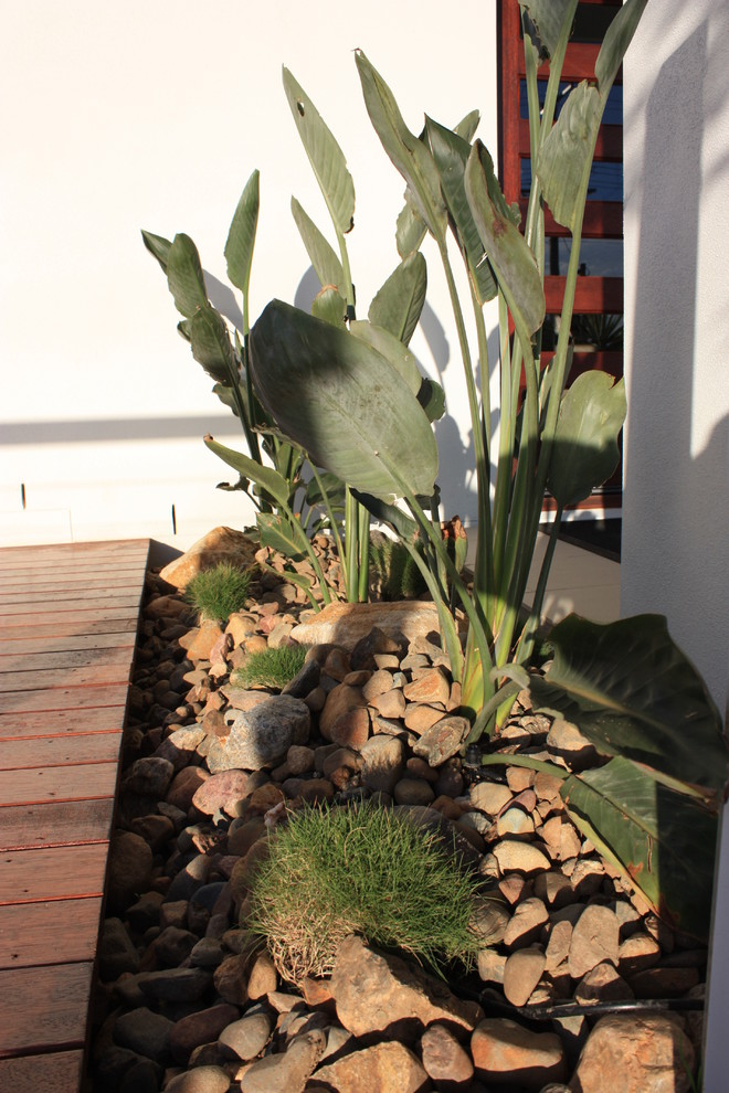 Clarendon Display homes, Clive Road, Birkdale,Brisbane,Qld ...