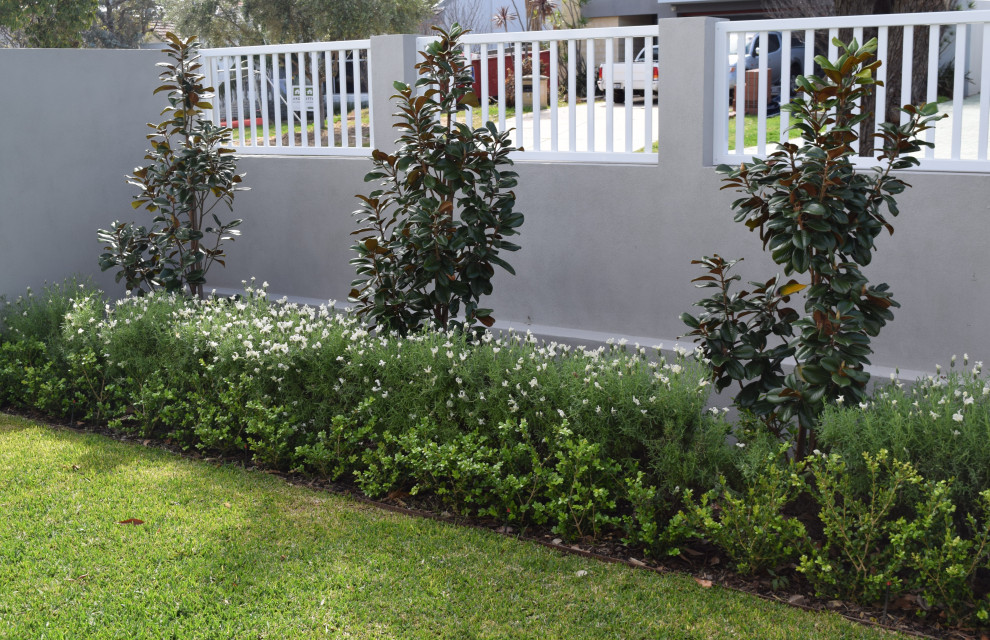 Classic Hamptons Style Garden - Traditional - Landscape - Perth - by ...
