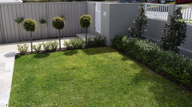 Classic Hamptons Style Garden - Traditional - Garden - Perth - by ...