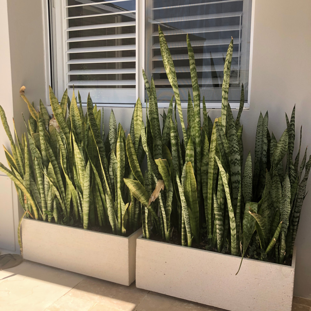 Coastal Hamptons Style Garden - Contemporary - Landscape - Perth - by ...