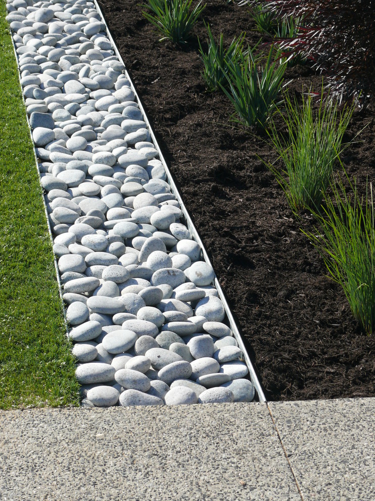 Coastal Native Front Garden - Contemporary - Landscape - Perth - by ...