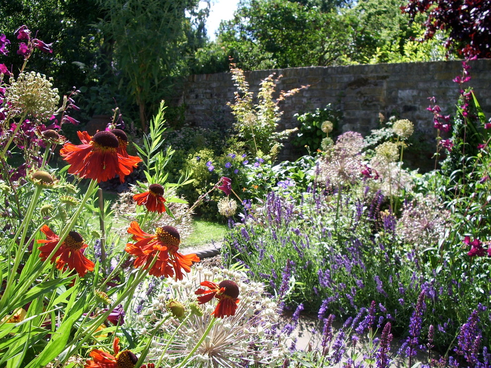 Colourful planting scheme - Contemporary - Landscape - London - by ...