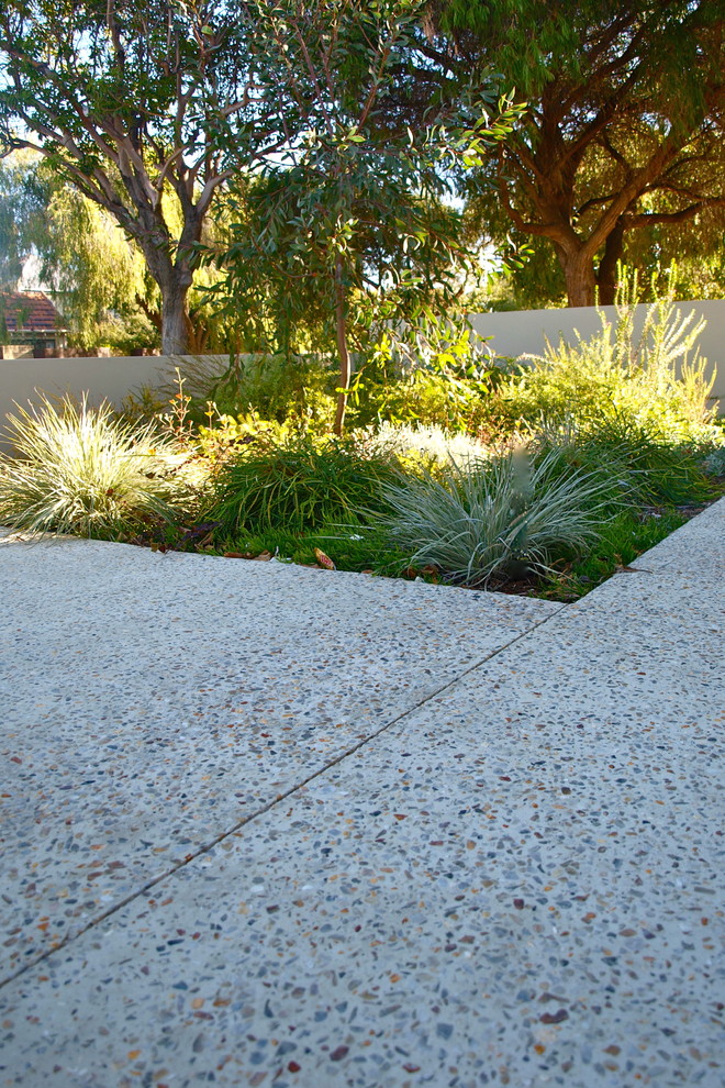 Contemporary Garden and Vertical Garden Feature - Contemporary ...