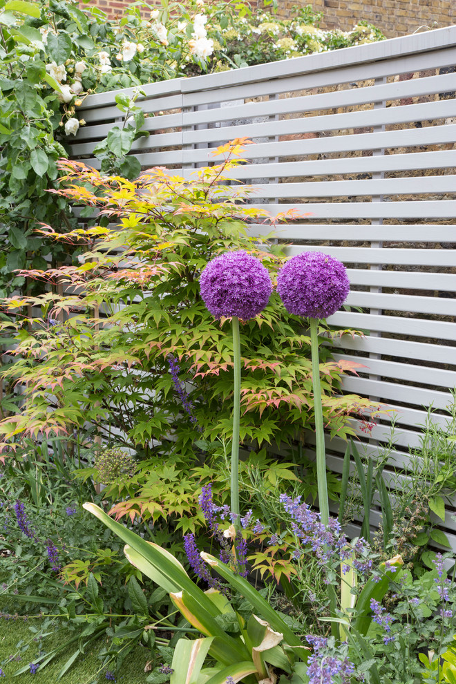 Contemporary Garden, London - Contemporary - Landscape - London - by ...