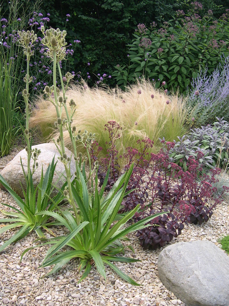 Contemporary Garden - Prairie Style Planting - Contemporary - Landscape ...