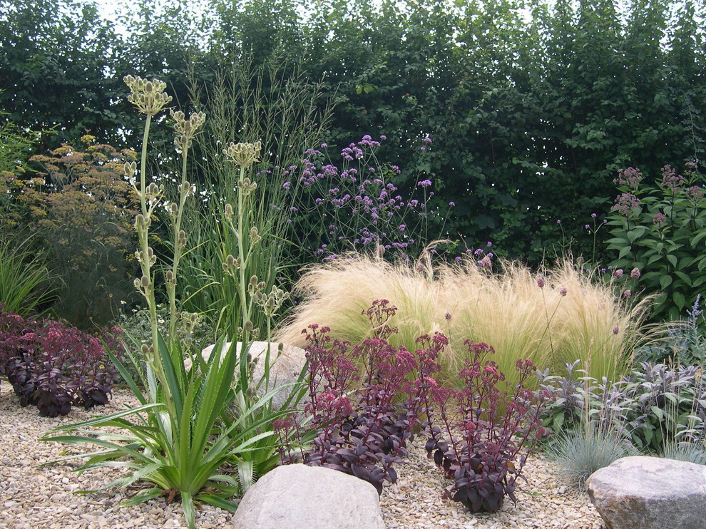 Contemporary Garden - Prairie Style Planting - Contemporary - Garden ...