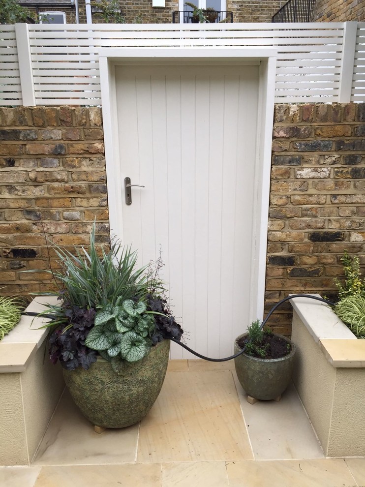 Contemporary urban garden - Small - Barnes, SW London - Contemporary ...