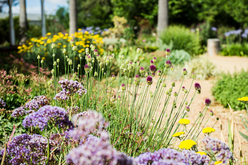 Country Garden - Farmhouse - Landscape - Other - by Outscape | Houzz