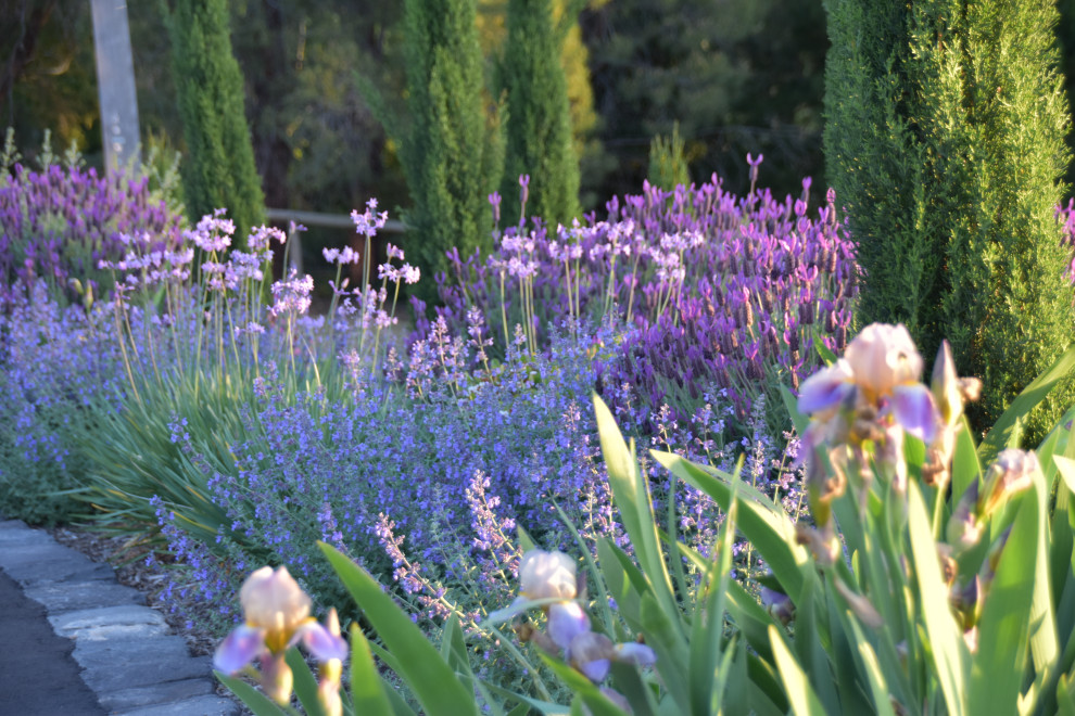 Country Style - Farmhouse - Landscape - Melbourne - by MG Gardens | Houzz
