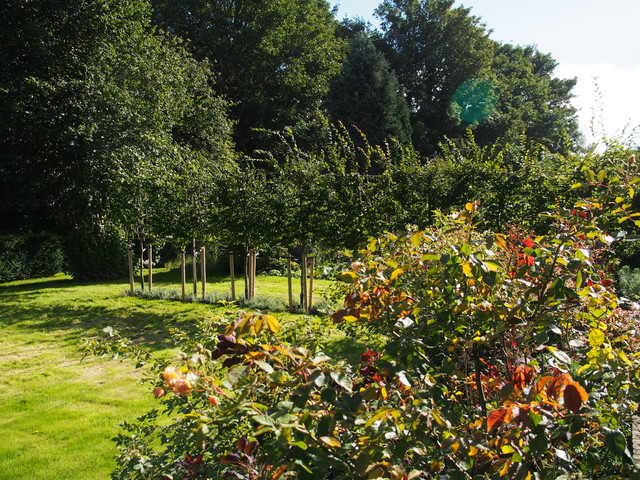 Countryside Garden Design - Traditional - Garden - London - by London ...