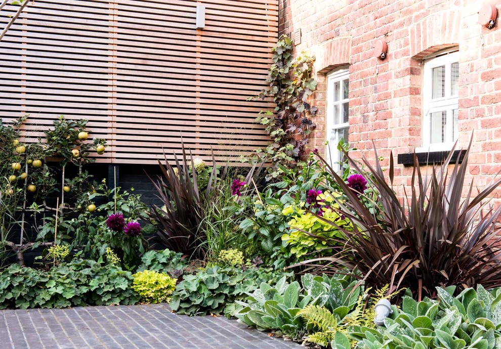 Courtyard Garden - Traditional - Landscape - Hertfordshire - by The ...