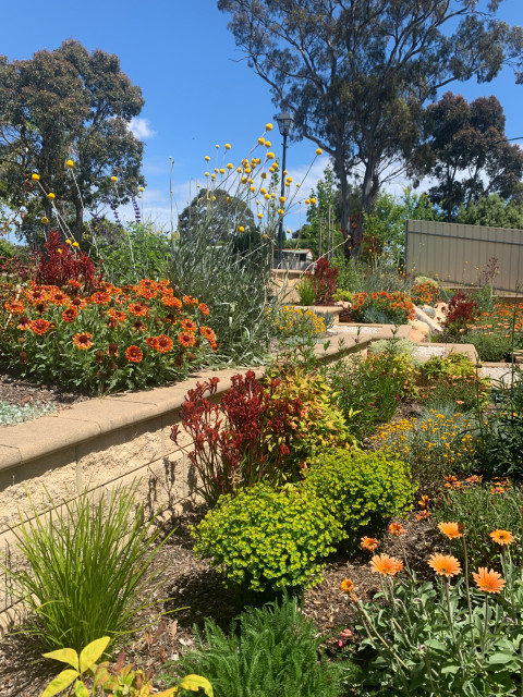 Craigburn Farm | Front Garden - Contemporary - Garden - Adelaide - by ...