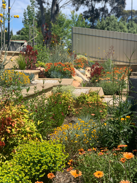 Craigburn Farm | Front Garden - Contemporary - Garden - Adelaide - by ...