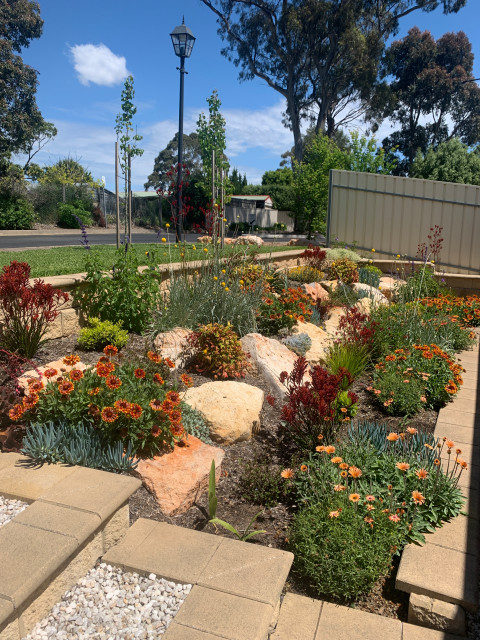 Craigburn Farm | Front Garden - Contemporary - Garden - Adelaide - by ...