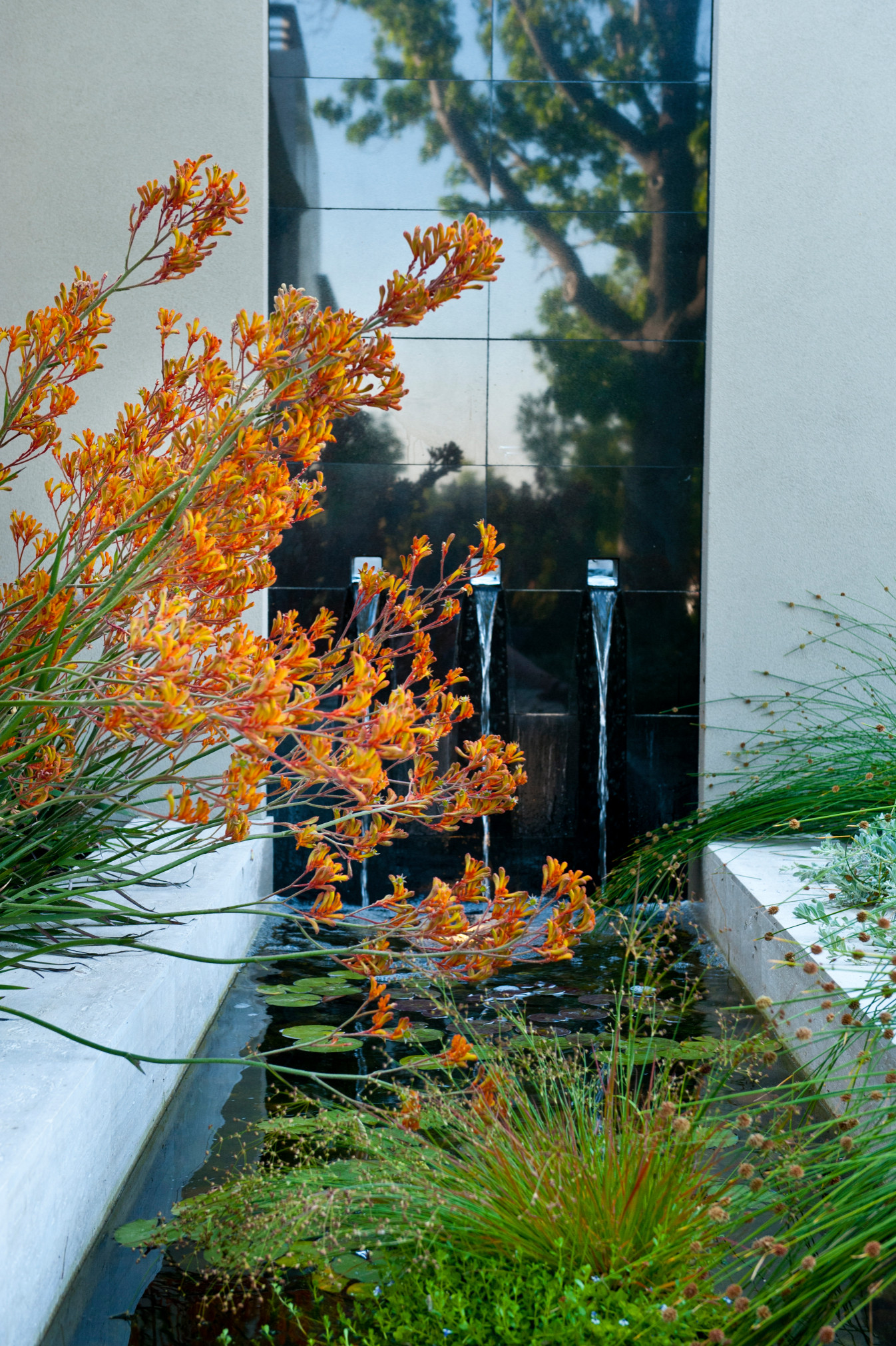 Green Scene: Landscape Designers Respond to Corona Challenges | Houzz NZ