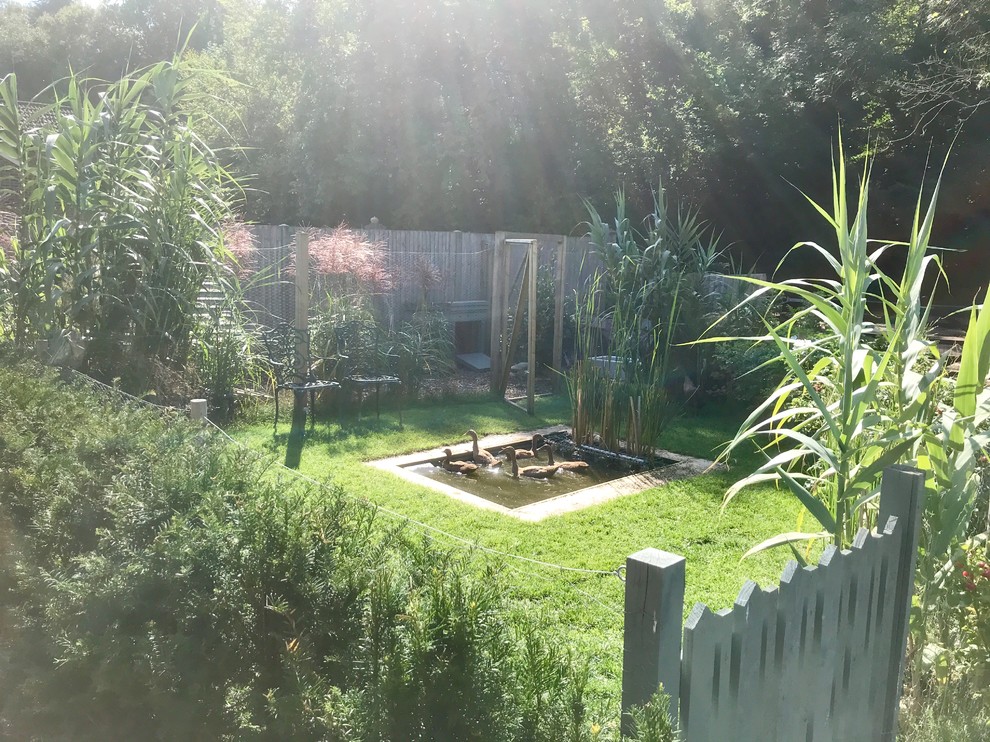 Duck pond enclosure - Farmhouse - Landscape - Hampshire - by Roeder ...