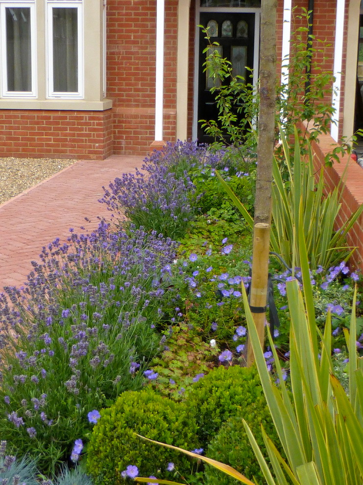 Ealing front garden planting - Traditional - Landscape - London - by ...