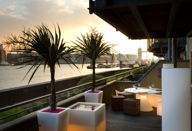 East London balcony garden design - Contemporary - Garden - London - by ...