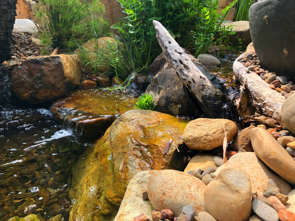 Ecosystem Koi Pond - The Hill, Newcastle NSW - Asian - Landscape ...