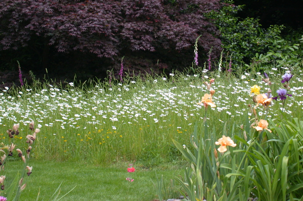 Esher - Traditional - Landscape - London - by CGD Landscape Design | Houzz