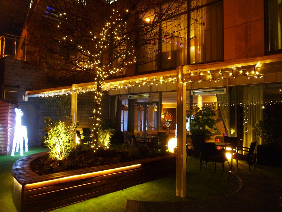 Fairy litghting - Contemporary - Landscape - Limerick - by Maximize ...