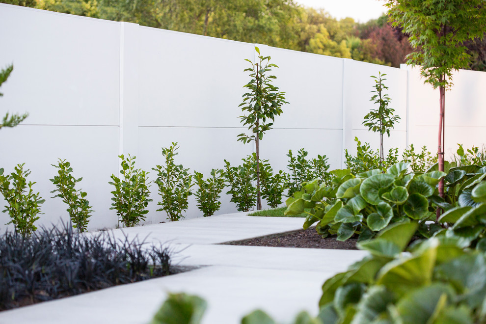 Fendalton Residence - Contemporary - Landscape - Christchurch - by ...
