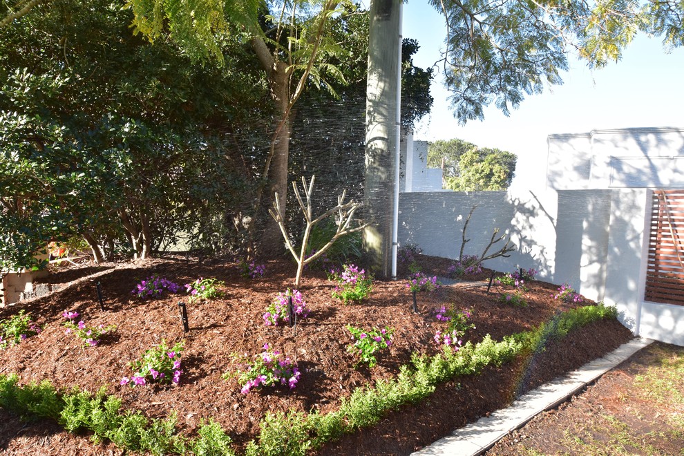 Fig Tree Pocket - Modern - Landscape - Brisbane - by Brooke's Blooms ...