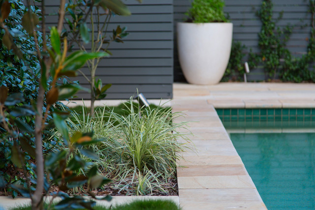 Pocket Gardens Definition | Fasci Garden