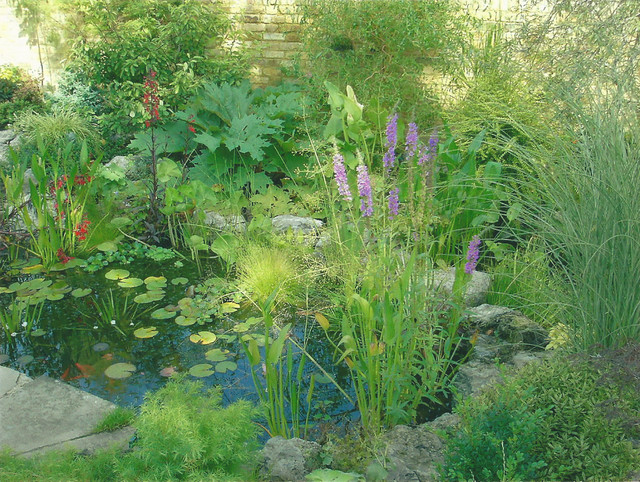 Fishpond in its early days - Rustic - Garden - London - by Jane Ashley ...