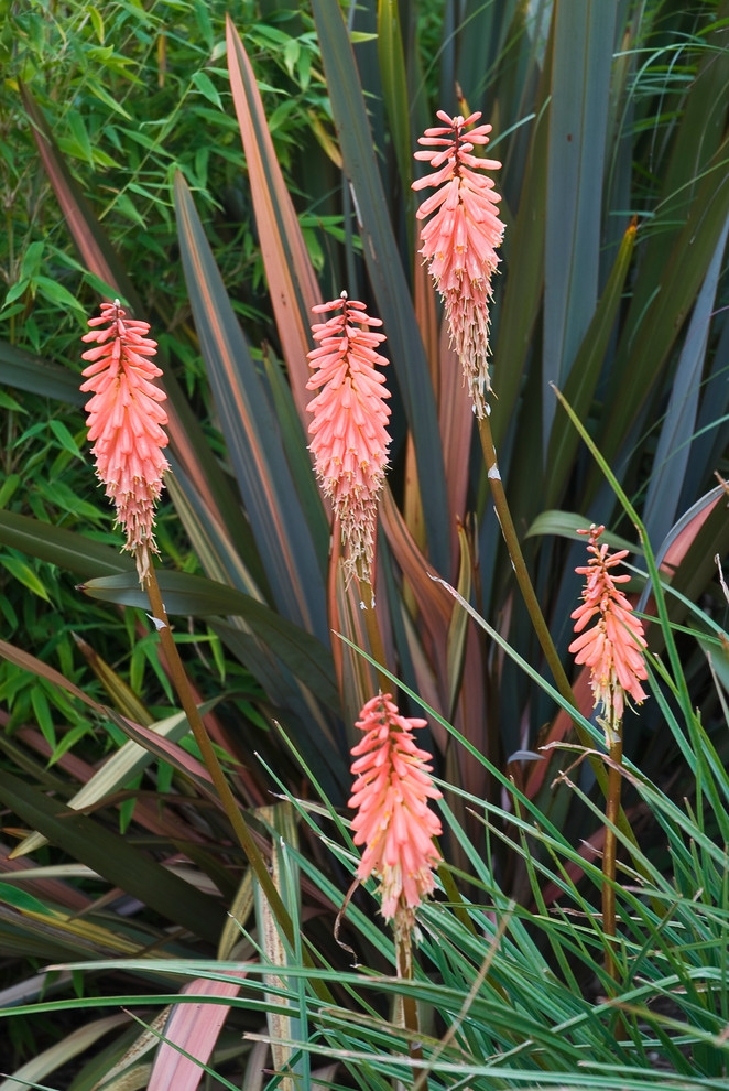 Form and Foliage, Surrey - Rustic - Landscape - Surrey - by Acres Wild ...