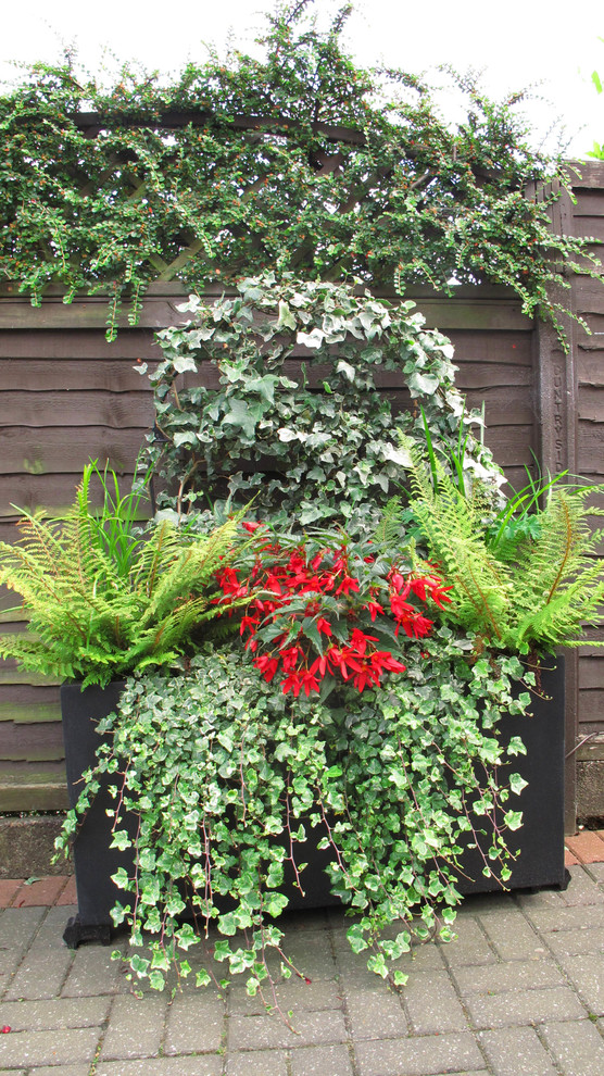 Front Garden Makeover - Contemporary - Landscape - London - by Fenton ...