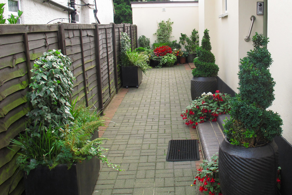 Front Garden Makeover - Contemporary - Landscape - London - by Fenton ...