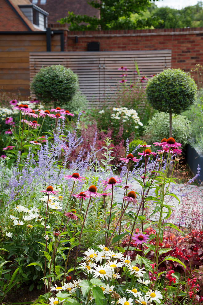 Garden Design - Allison Grove - Modern - Garden - London - by Kate Eyre ...