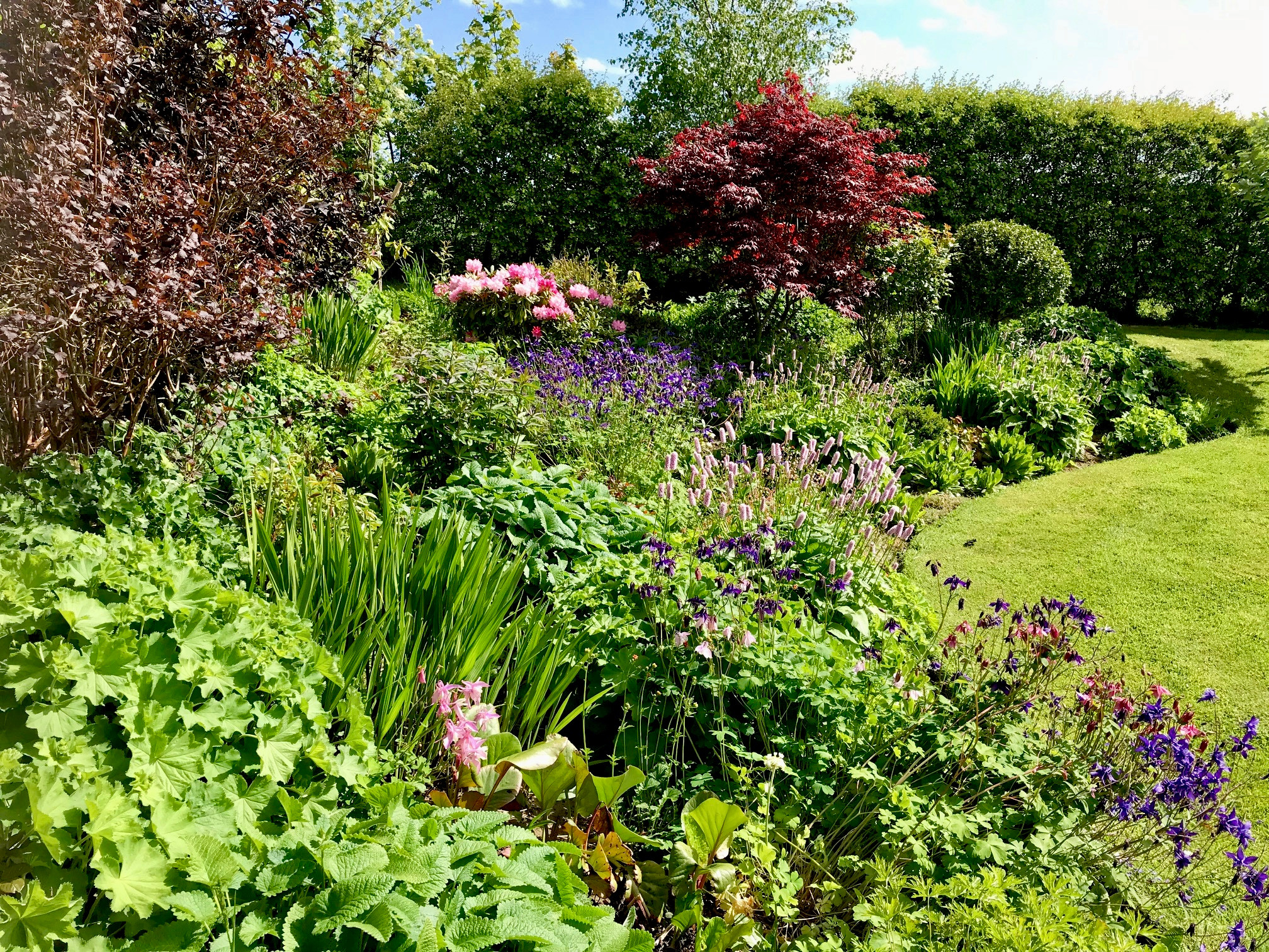 How to Choose a Garden Designer | Houzz IE