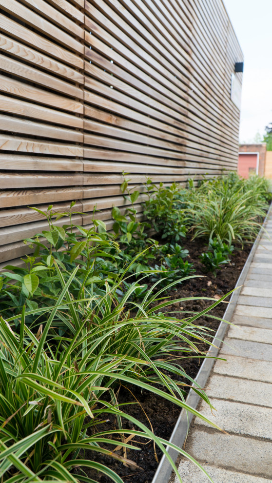 Garden Planting Design and Landscaping in St Albans - Contemporary ...
