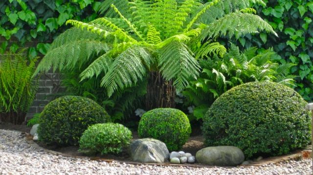 Gardens by Architectural Plants - Contemporary - Landscape - Sussex ...