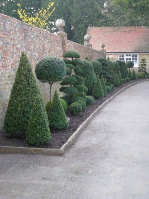 Gardens designed and planted by Architectural Plants - Contemporary ...