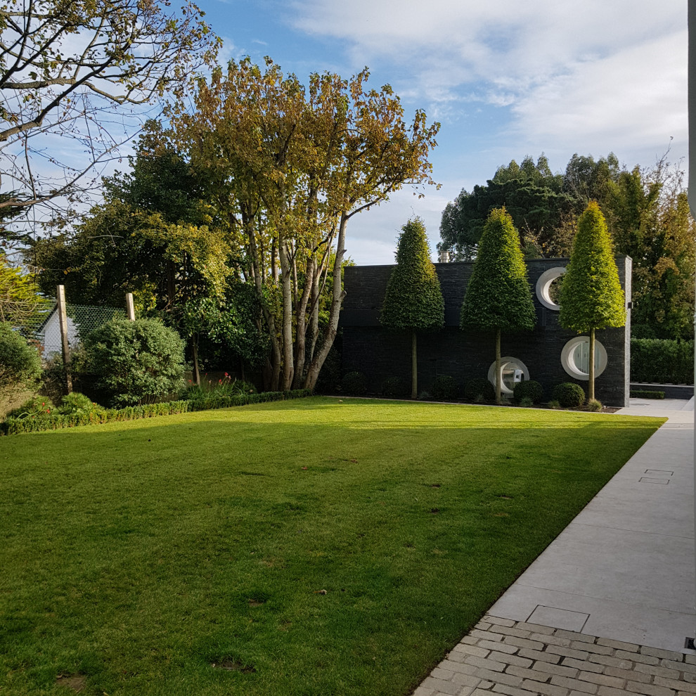 Greystones Garden - Contemporary - Landscape - Dublin - by Darragh ...
