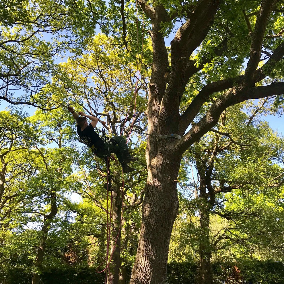 Hanging Suspended Garden Seat - Contemporary - Landscape - Surrey - by ...