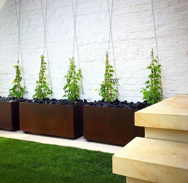 Inner city courtyard garden - Contemporary - Garden - Sydney - by FCG ...