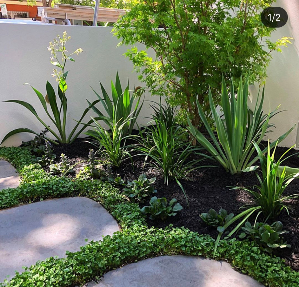 Inner city courtyard garden - Contemporary - Landscape - Sydney - by ...