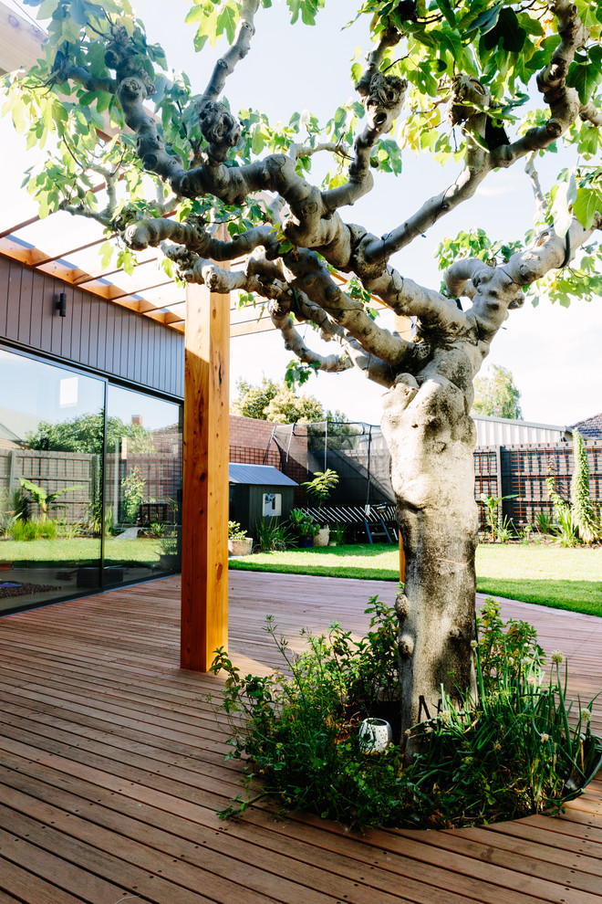 Jacks deck and pergola - Contemporary - Landscape - Melbourne - by Nick ...
