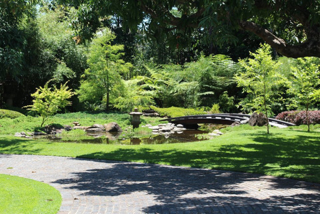 Japanese Gardens of brisbane - Asiático - Jardín - Brisbane - de ...